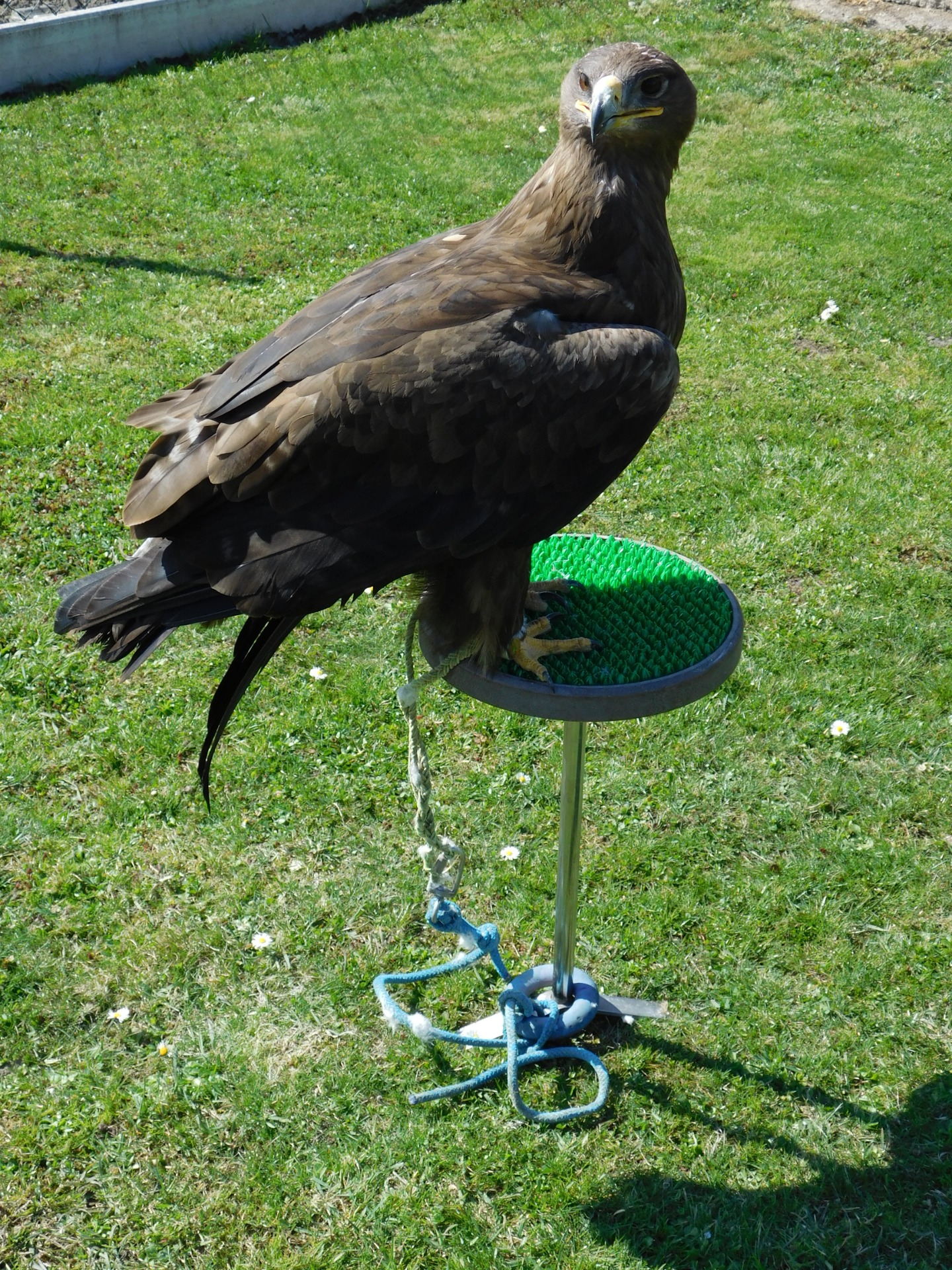 Fotogalerie :: Sokolnici